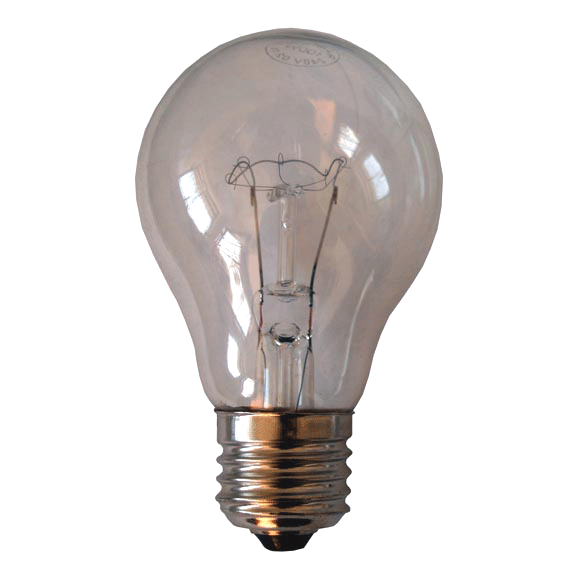 Rough Service Globe, Screw In Type, 60W | AutoFast