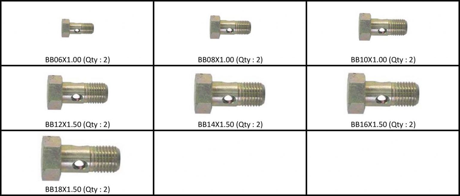 Banjo Bolt Assortment 15 pcs | AutoFast